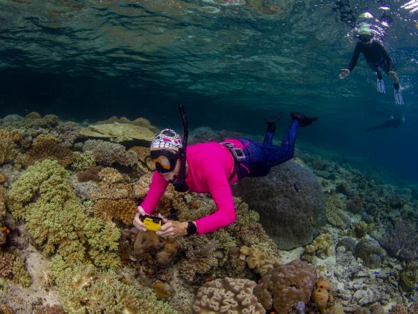 Southern Raja Ampat snorkelling holiday, Indonesia | Responsible Travel