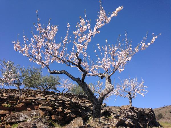 Northern Portugal wildlife & nature holiday | Responsible Travel