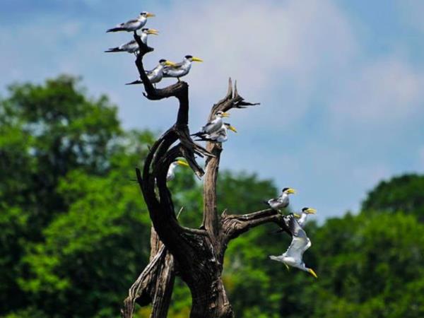 Amazon rainforest adventure in Brazil | Responsible Travel