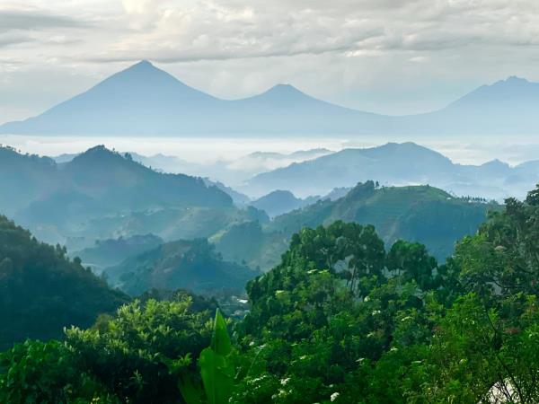 Uganda Great Rift Valley primates safari | Responsible Travel