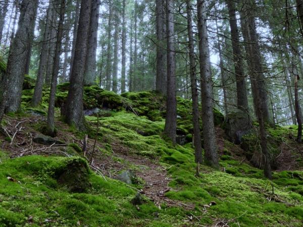 Electric fly-drive Norway holiday, Fjords experience | Responsible Travel