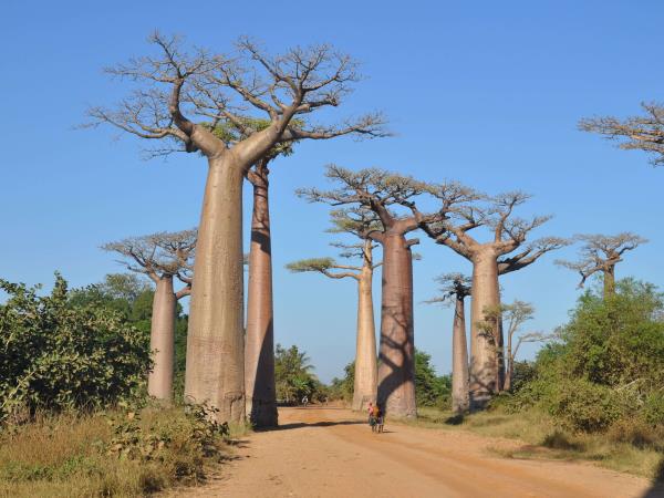 Eastern Madagascar small group tour | Responsible Travel