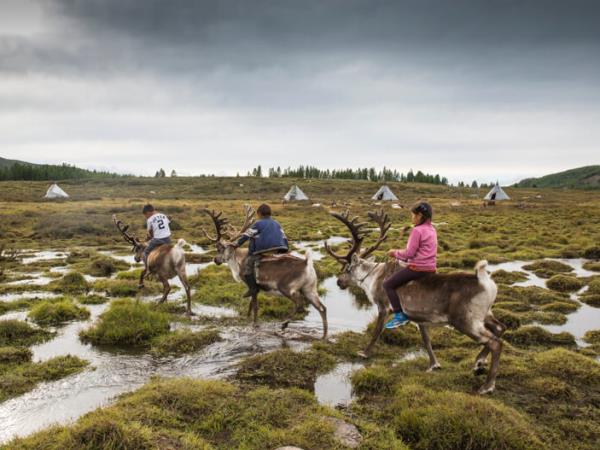 Mongolia Tsaatan reindeer herders group tour | Responsible Travel