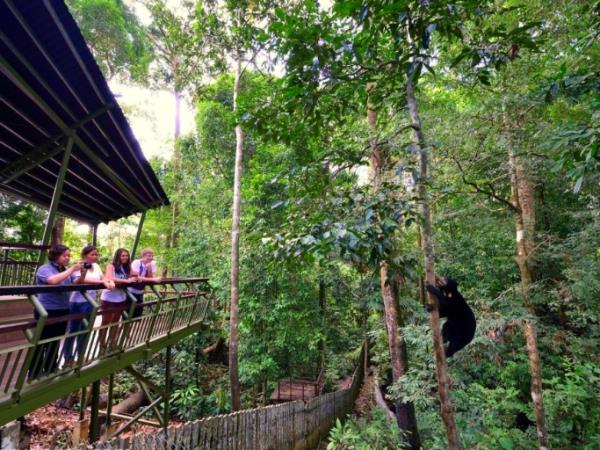 Wildlife adventure in Sabah, Borneo | Responsible Travel