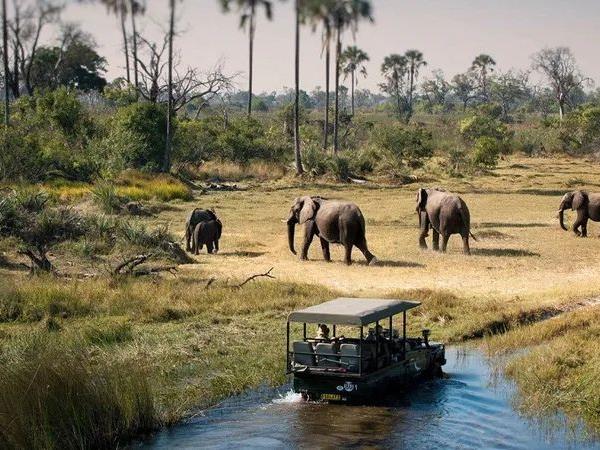 Botswana safari adventure for families | Responsible Travel