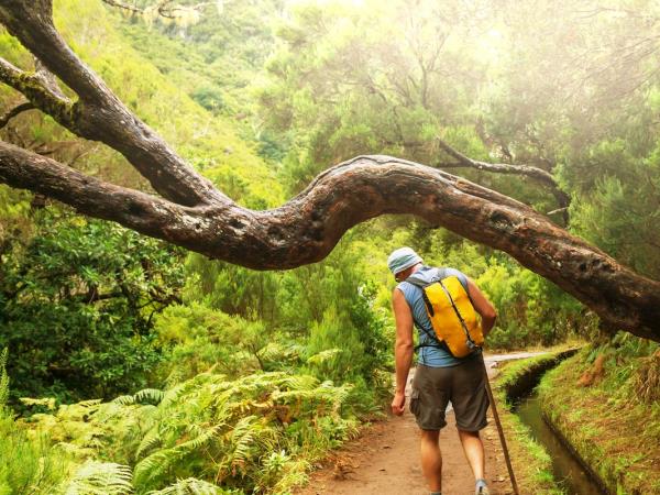 Walking holiday in Western Madeira | Responsible Travel