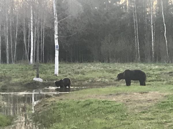 Estonia wildlife holiday, small group | Responsible Travel