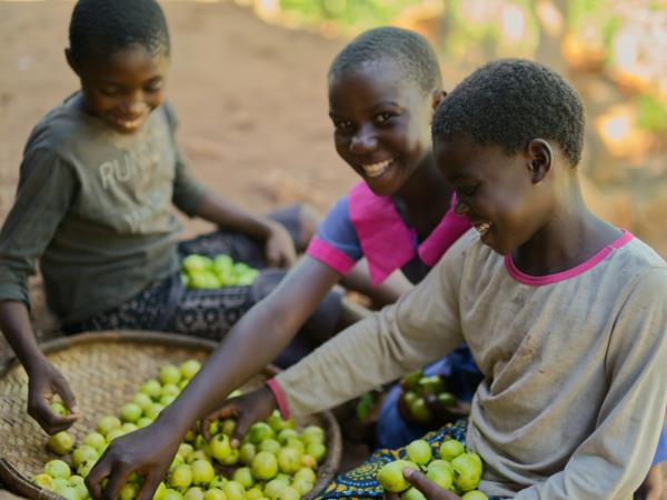 Malawi community volunteering and safari holiday | Responsible Travel