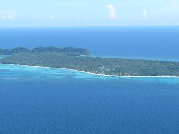 Borneo wildlife volunteer project. Helping Dreamers Do