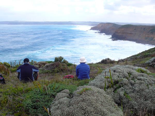 The Great South West Walk in Victoria, Australia | Responsible Travel