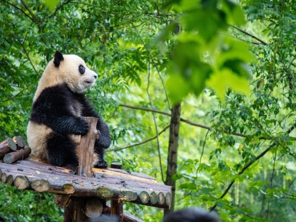 China holidays. Tours & holidays in China in 2018 & 2019