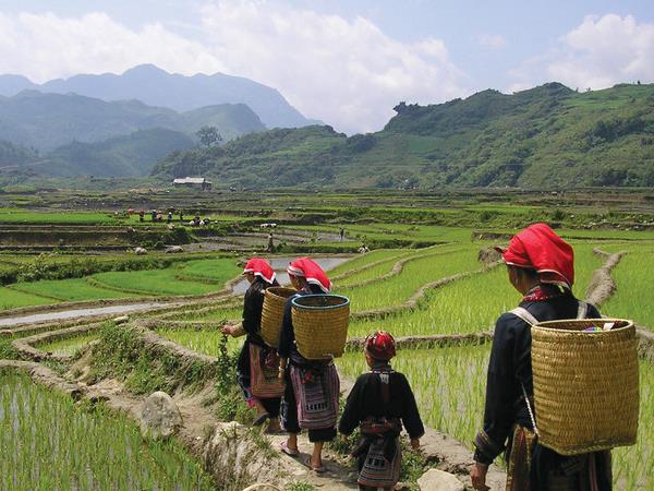 Vietnamese Hill Tribes holidays. Tours & vacations in Vietnamese Hill ...