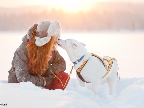 Sweden holidays. Tours & holidays in Sweden in 2019 & 2020