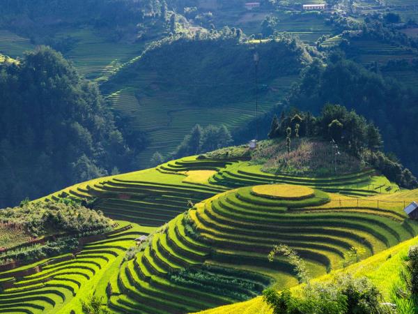 Vietnam community tour with volunteering | Responsible Travel