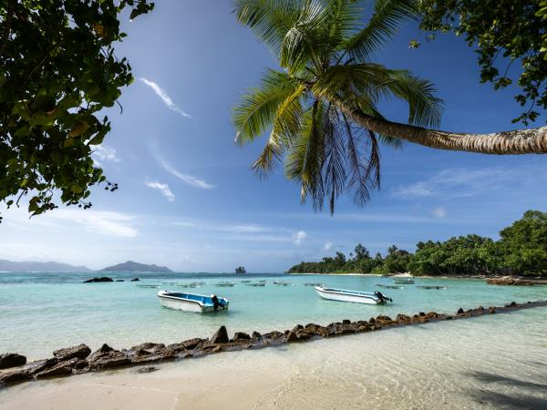 Seychelles to Madagascar sailing expedition | Responsible Travel