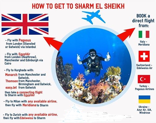 Learn to scuba dive in the Red Sea, Egypt. Helping Dreamers Do