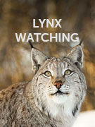 Wildlife travel guide