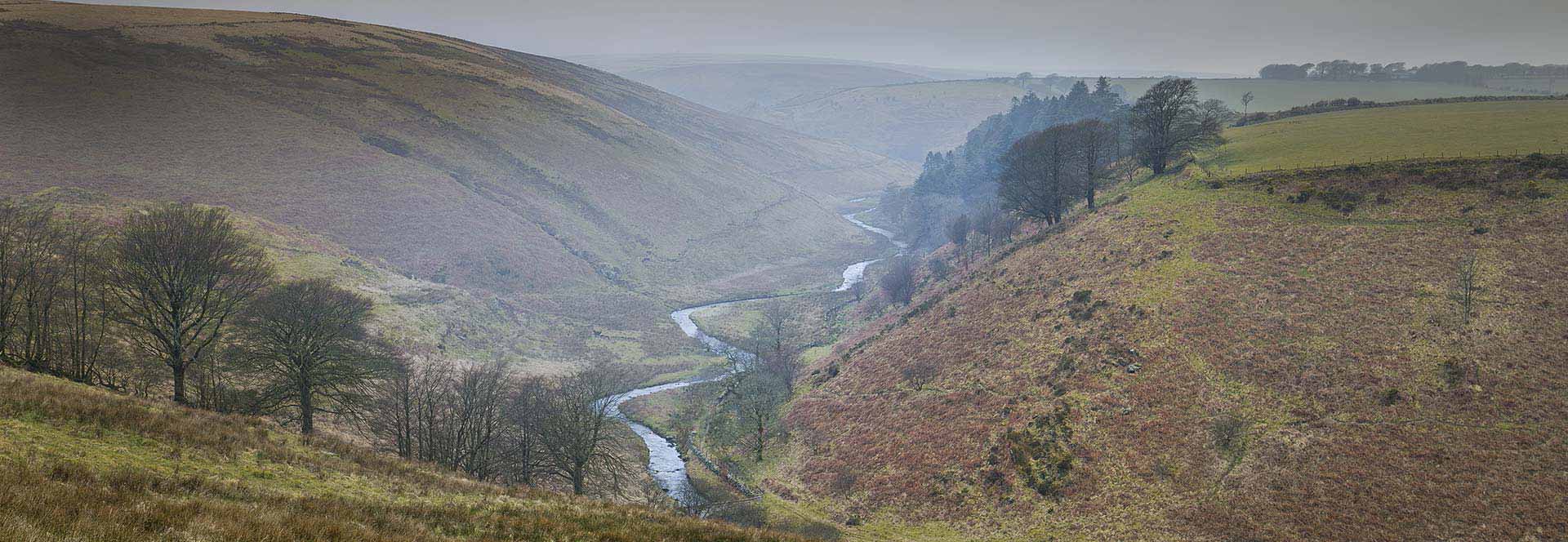 Devon holidays & tours in 2025 & 2026 | Responsible Travel Devon holidays & tours in 2025 & 2026 | Responsible Travel