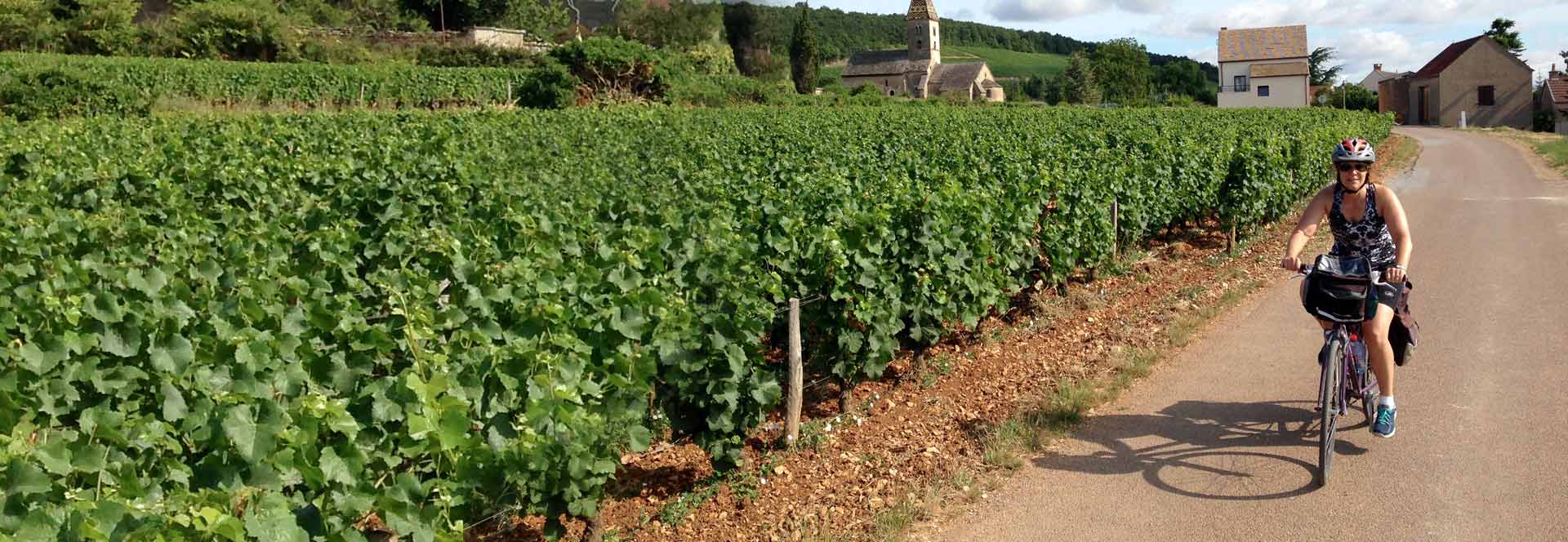 Cycling in France travel guide