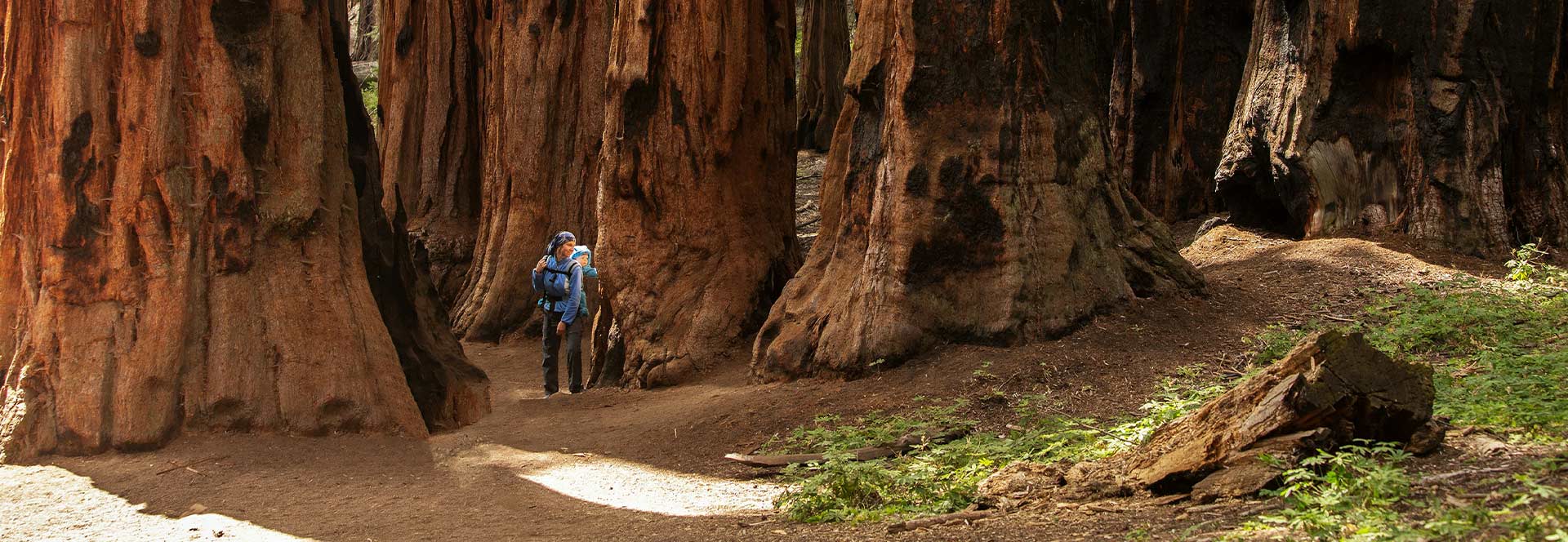 Hiking & walking in California