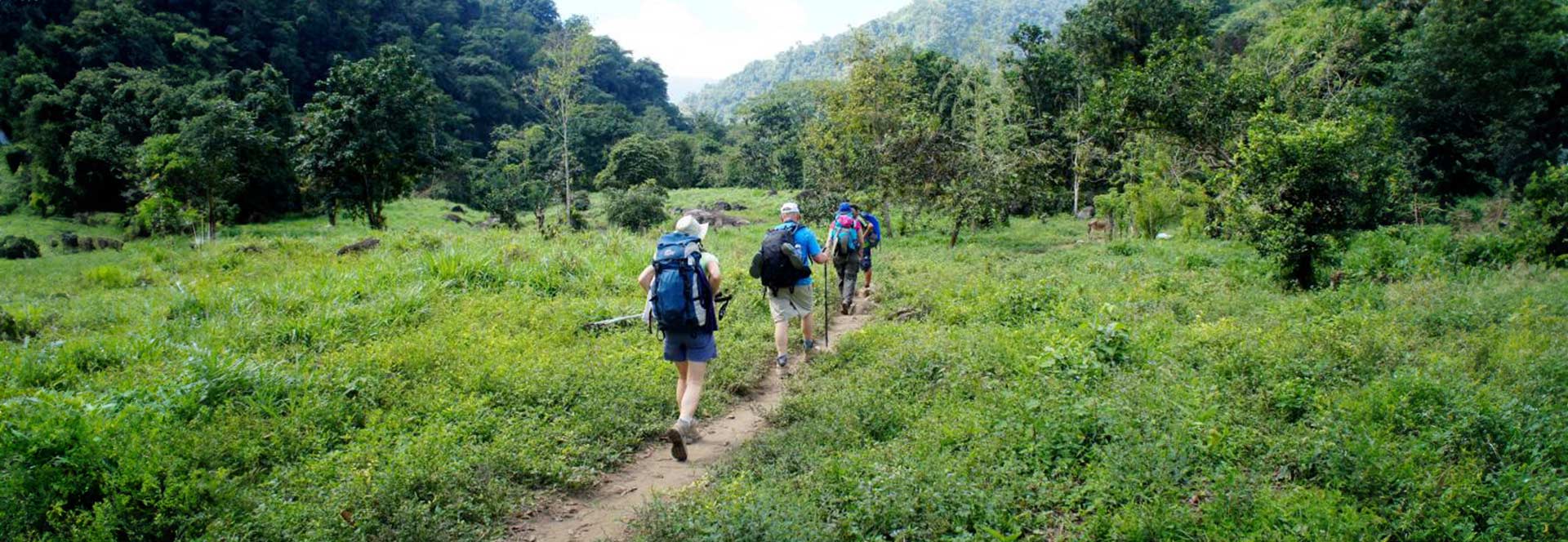 Lost City Trek in Colombia