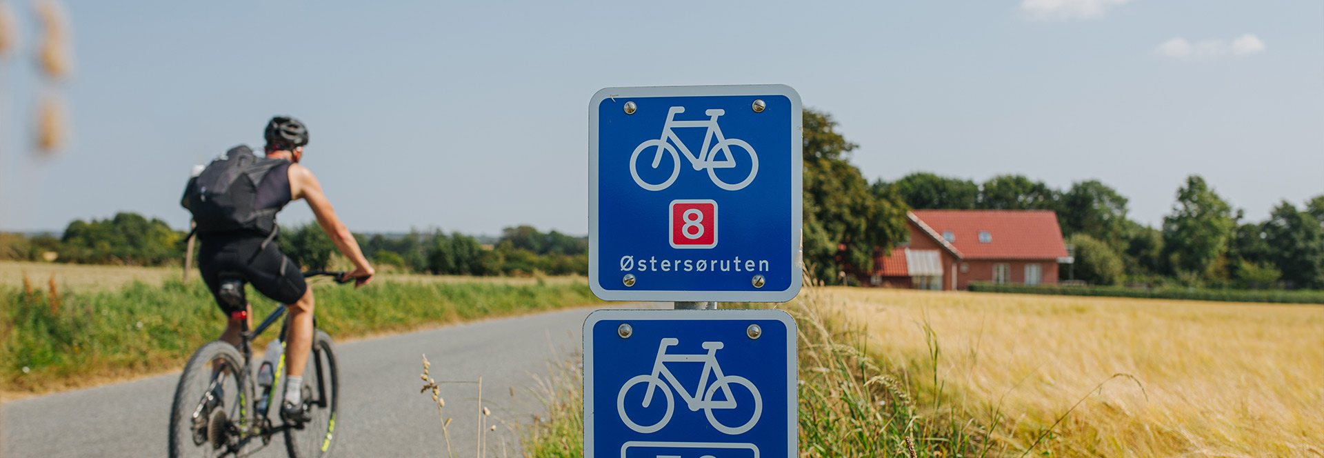 Denmark cycling holidays