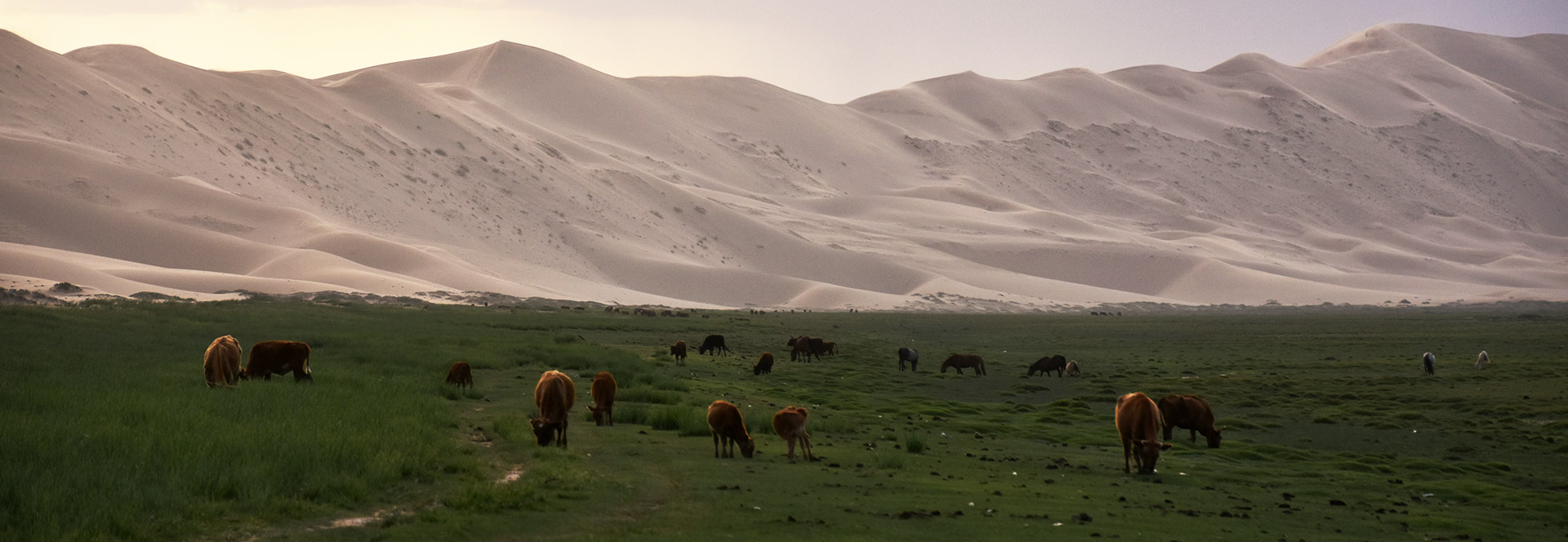 Things to see & do in the Gobi Desert
