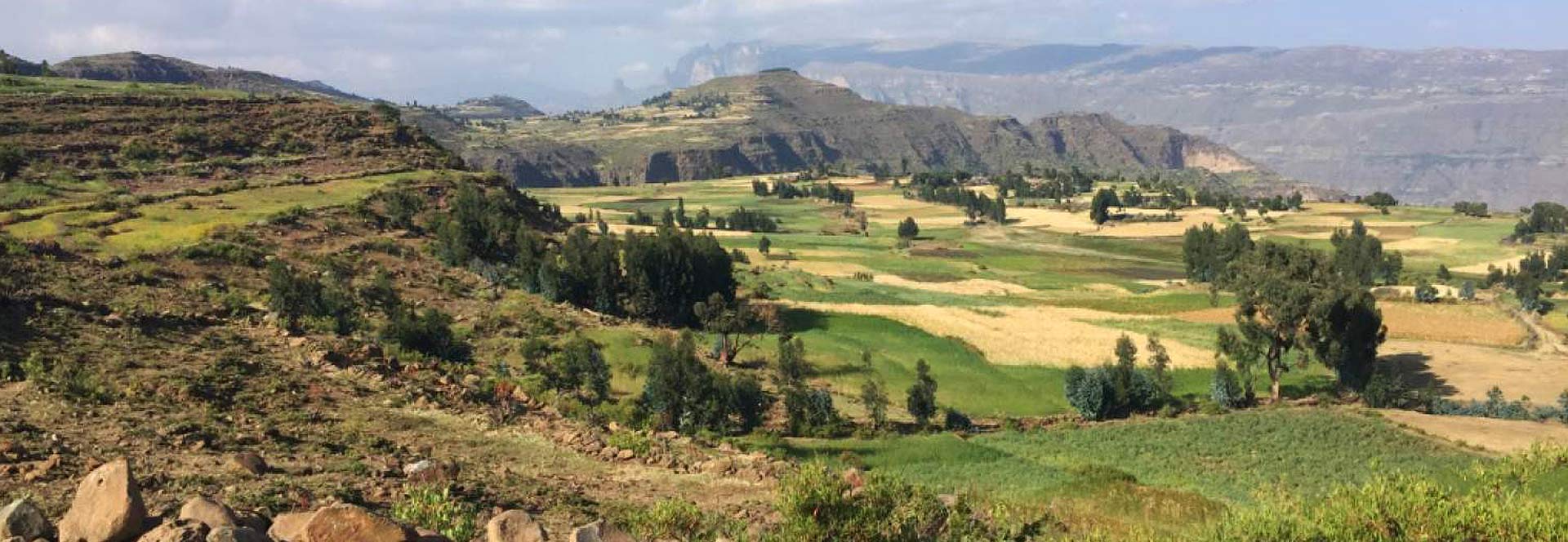 Trekking in Janamora & Simien Mountains