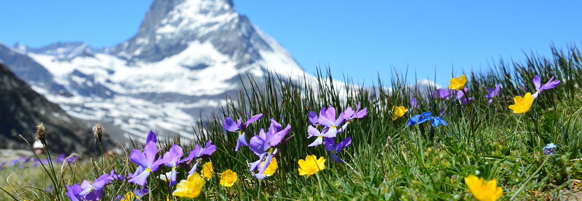 Europe in spring holiday ideas