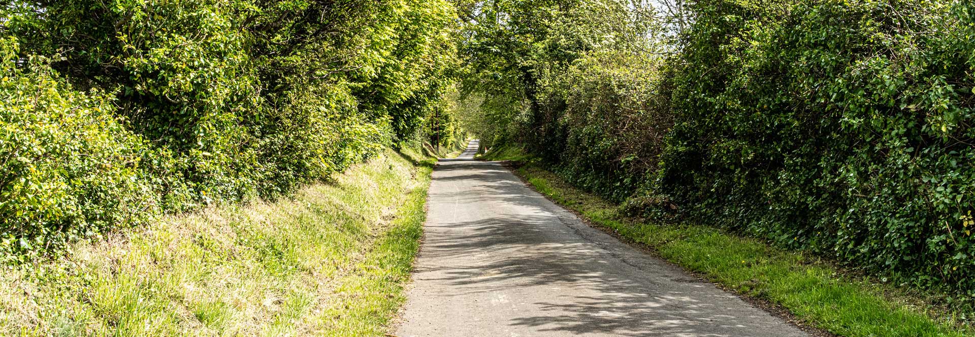 Cycling the Greenways in Ireland