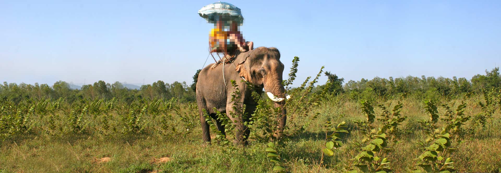 Irresponsible tourism