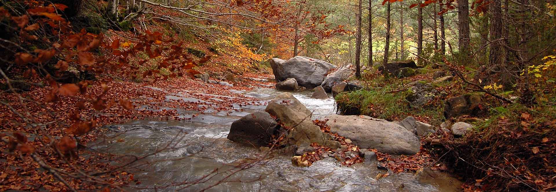 Aisa Valley holidays in the Pyrenees