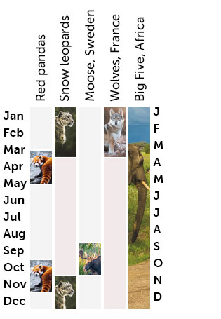 Tracking wildlife on foot travel guide